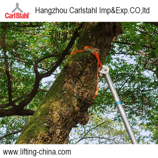 Carl Stahl lashing ratchet tie down help trees to resist typhoon ...